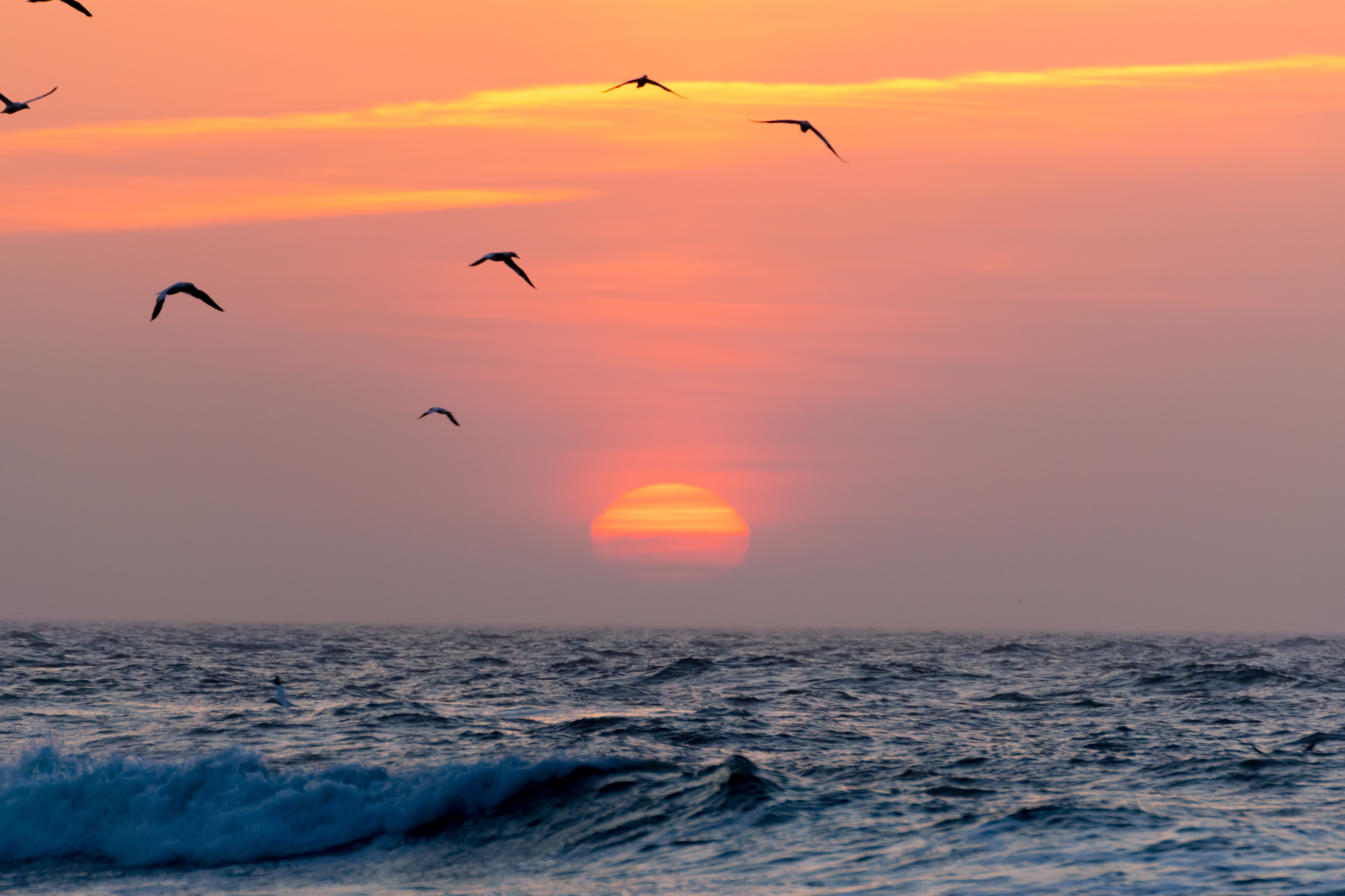 shore – Lead with Purpose Foundation